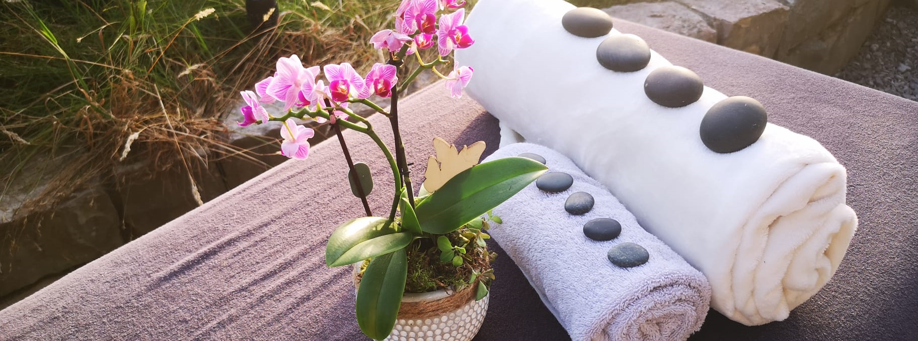 Home - Wellness by Wendy
